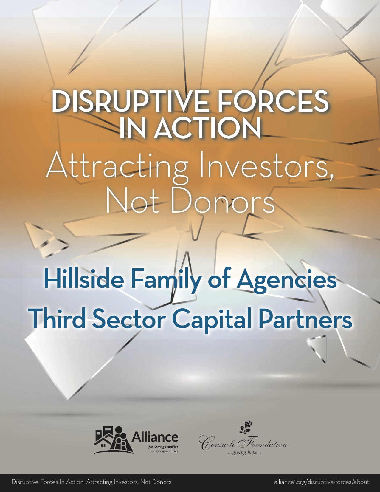 14-017e_dfia_hillside-third_sector_case_study | Third Sector Capital ...