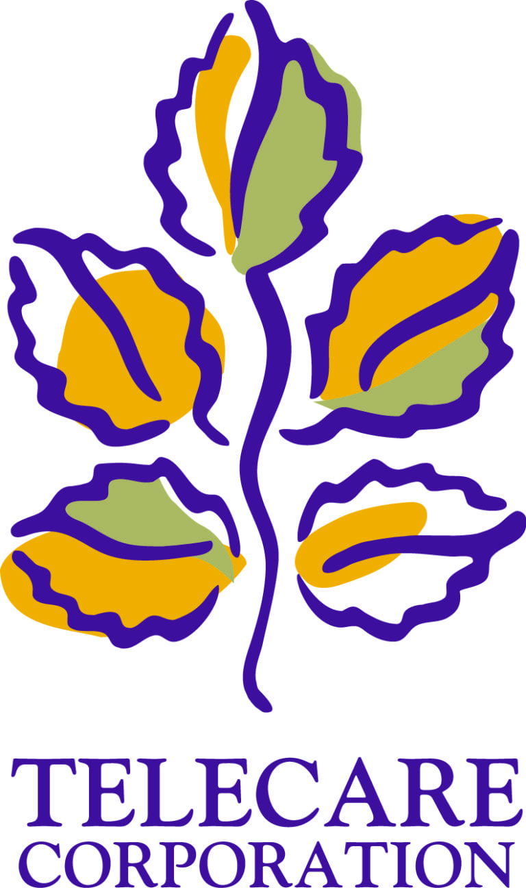 Santa Clara County Partners in Wellness | Third Sector Capital ...